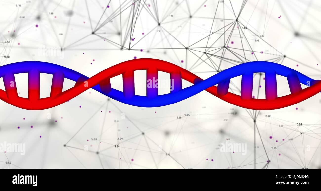 Image of dna strands on white background Stock Photo - Alamy