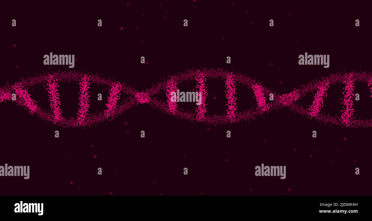 Image of dna strand on black background Stock Photo - Alamy