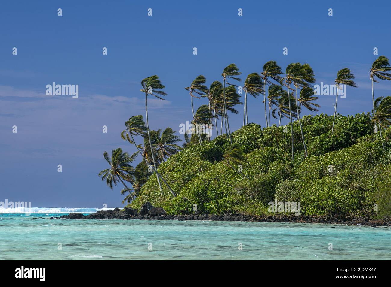 rarotonga cook island polynesia beach summer paradise lagoon panorama ...