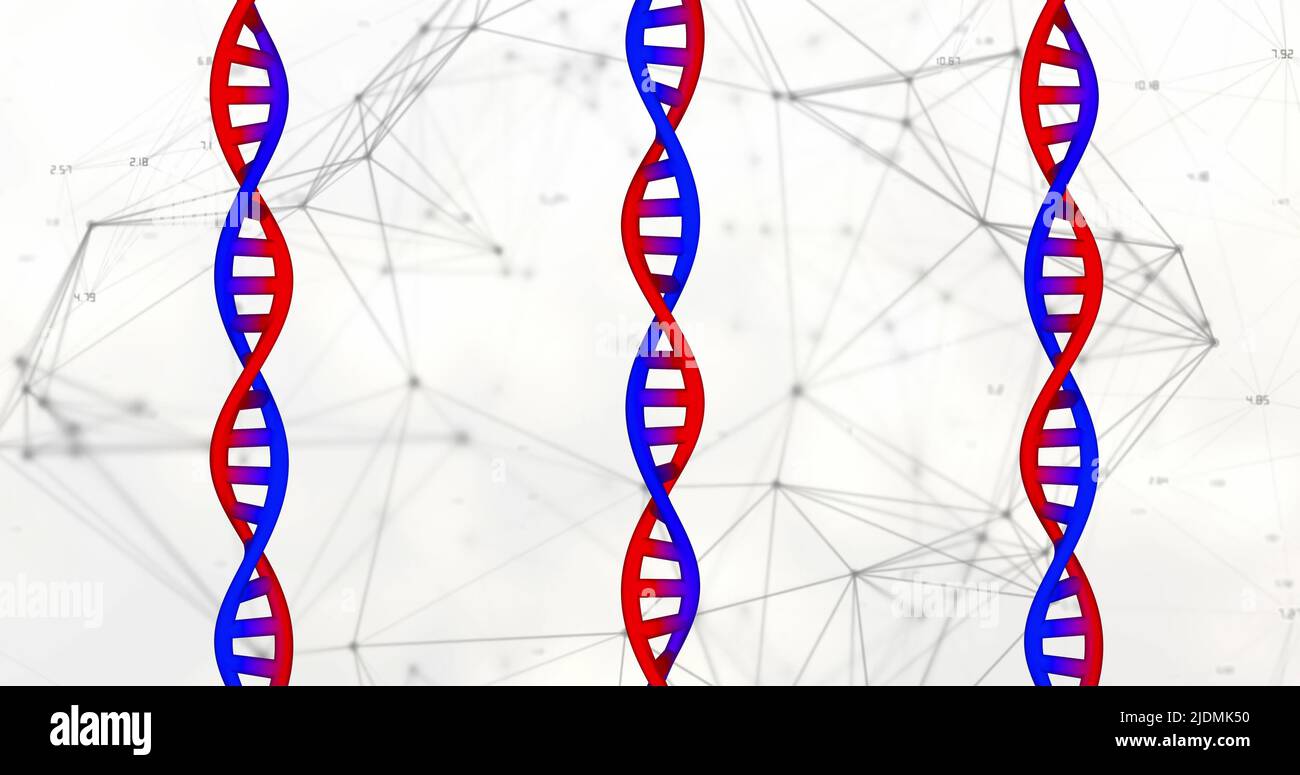 Image of dna strands on white background Stock Photo - Alamy