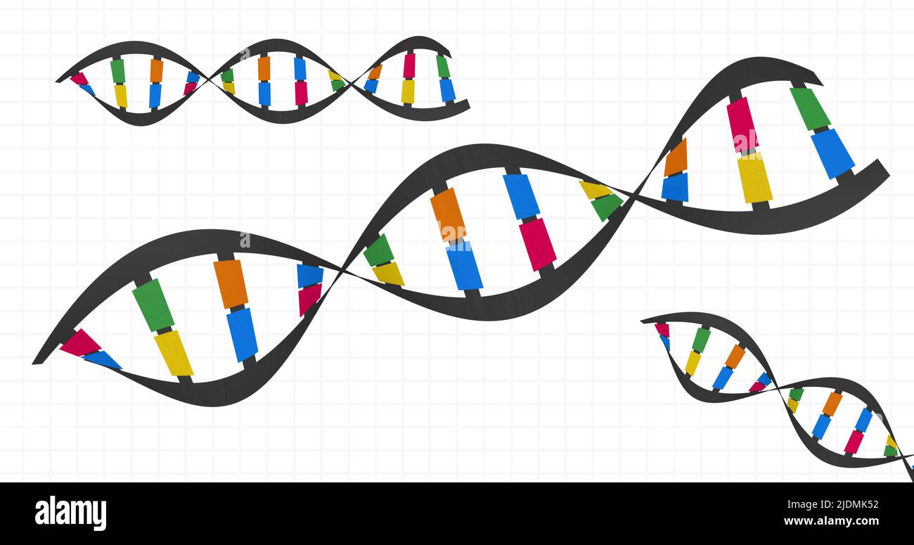 Image of dna strands on white background Stock Photo - Alamy