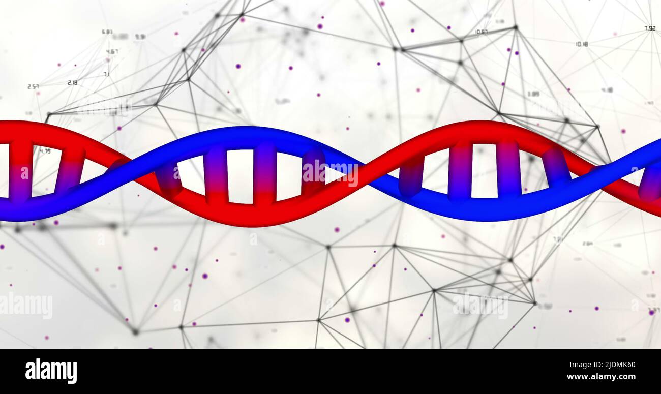 Image of dna strands on white background Stock Photo - Alamy