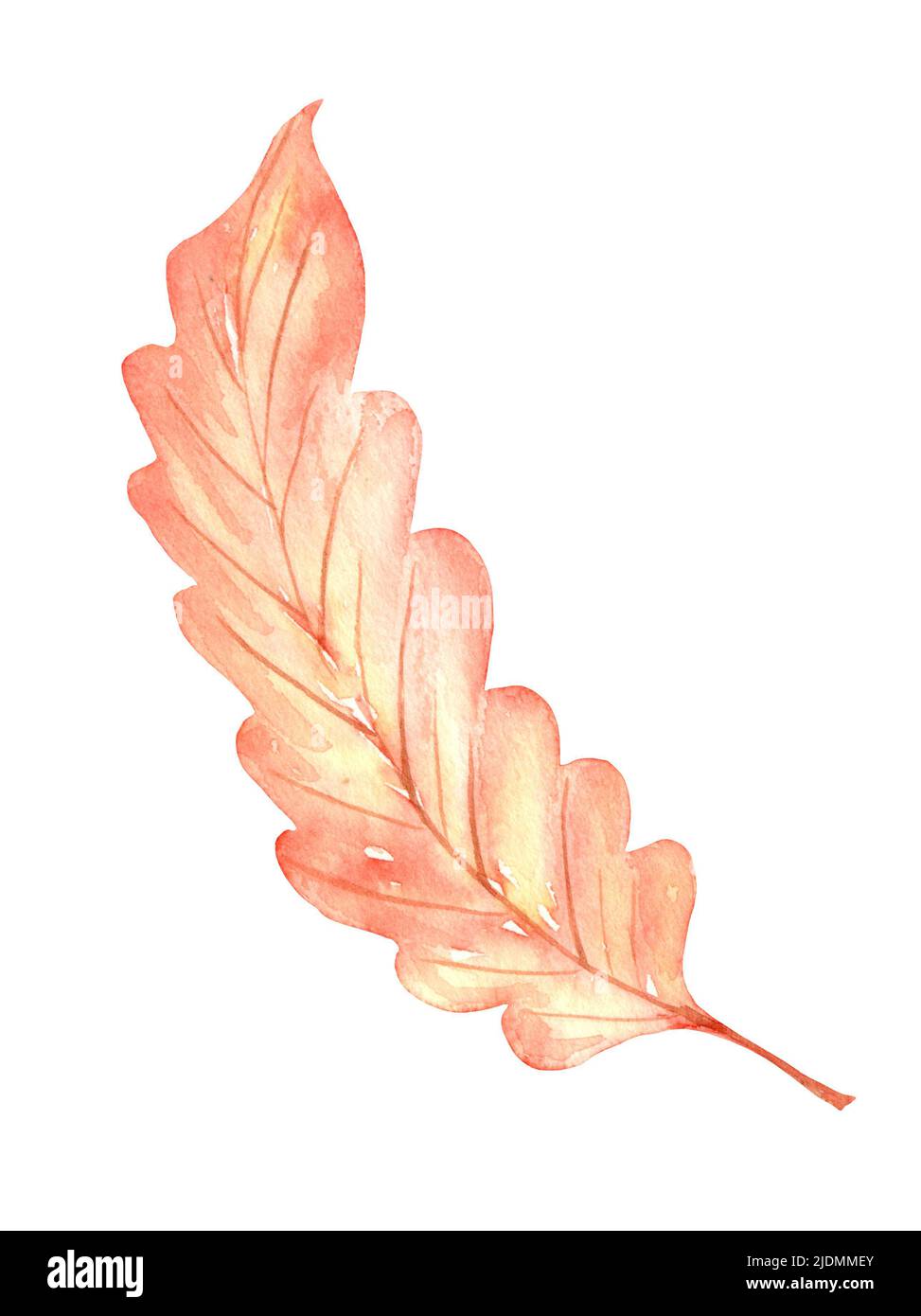 Bright, colorful autumn leaf. Watercolor fall illustration Stock Photo ...