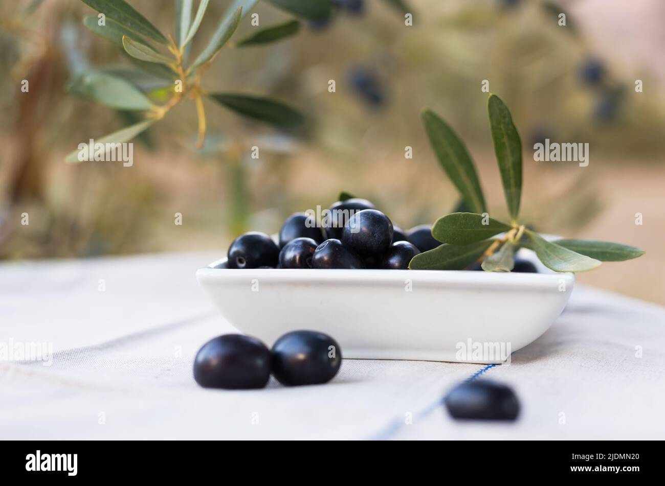 still life of olives on table against background of olive trees Stock ...
