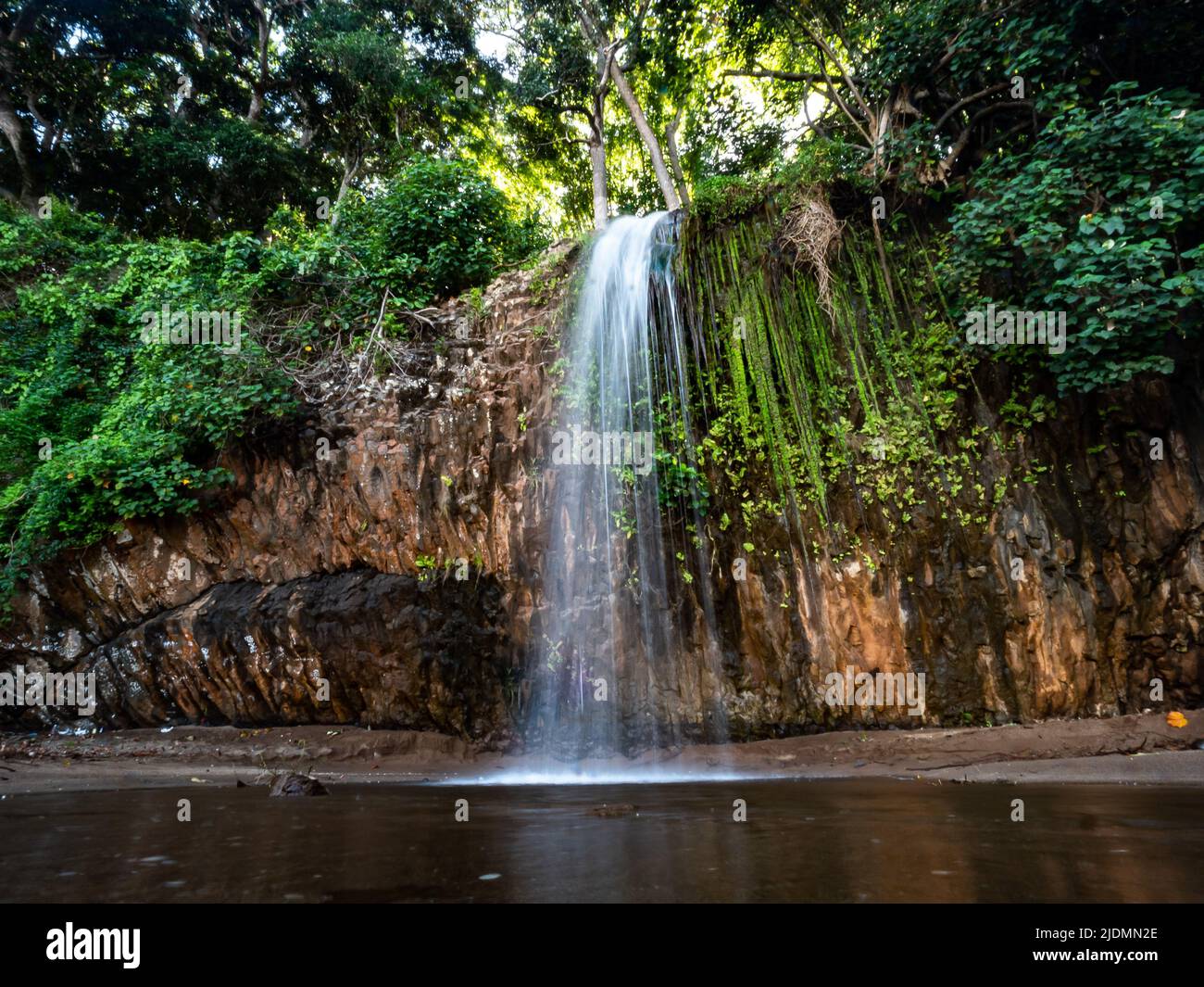 Rainforest of Mayotte lagoon Stock Photo - Alamy