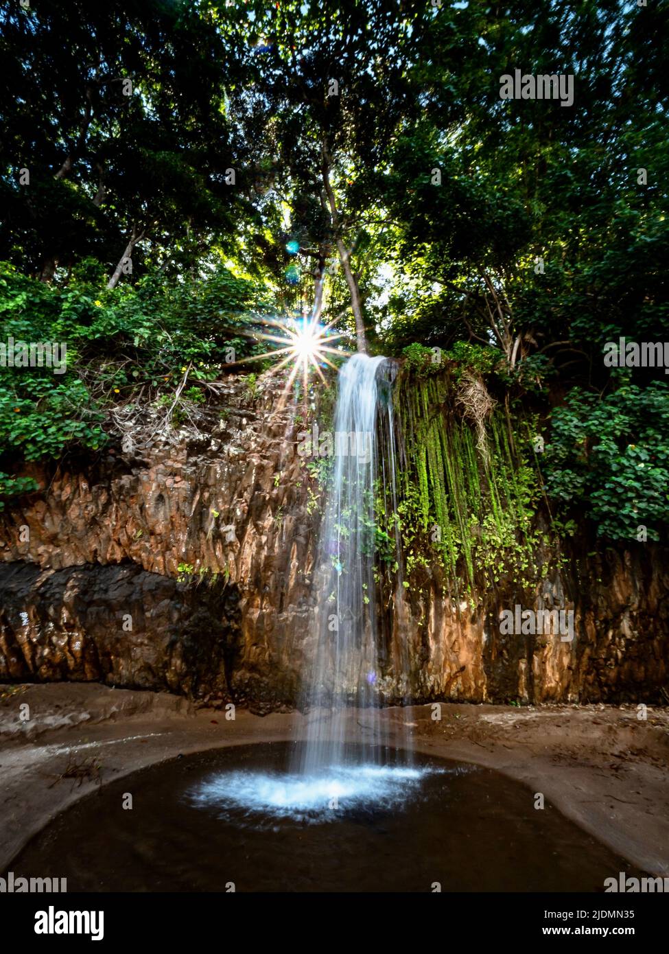 Rainforest of Mayotte lagoon Stock Photo - Alamy