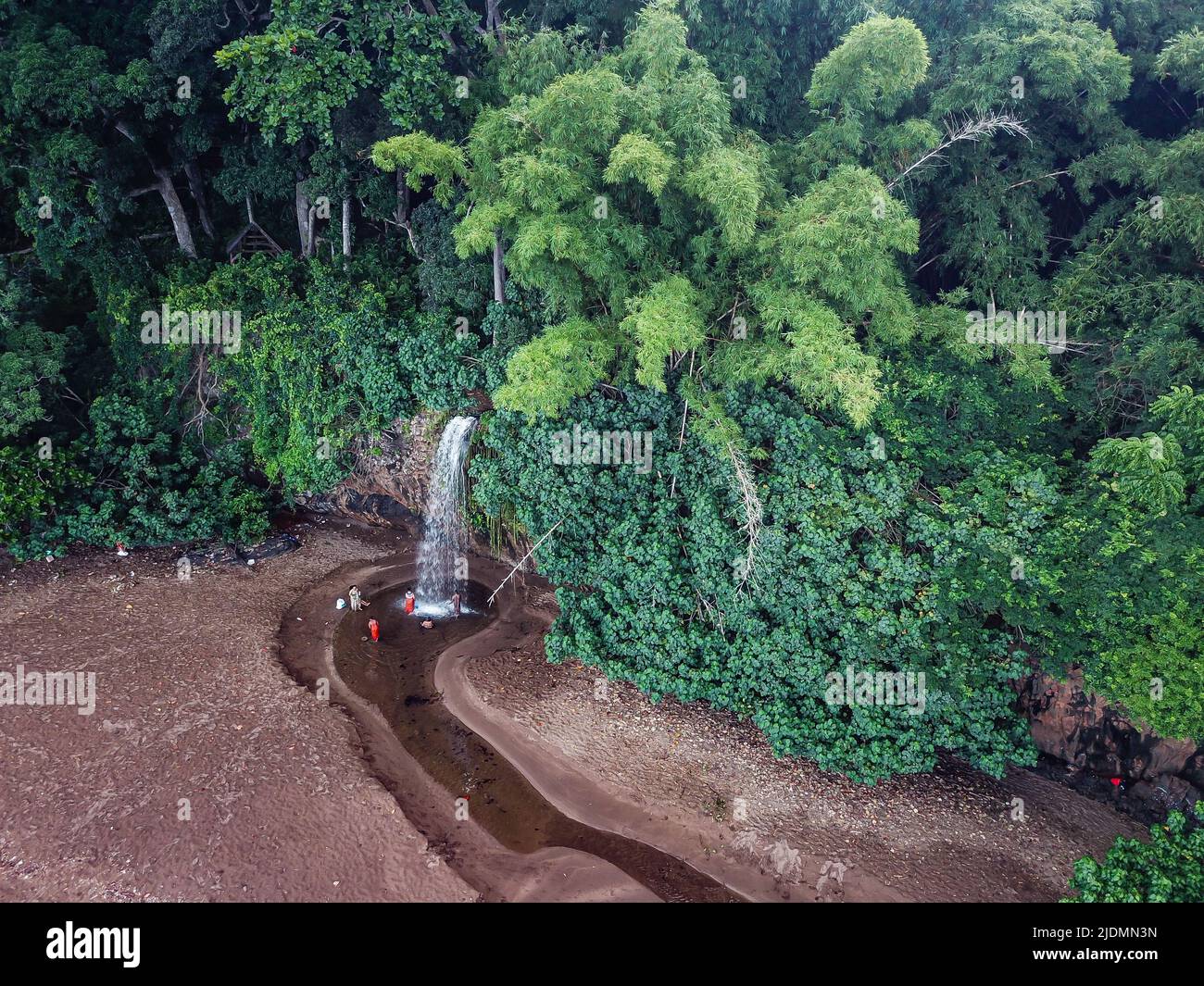 Rainforest of Mayotte lagoon Stock Photo - Alamy