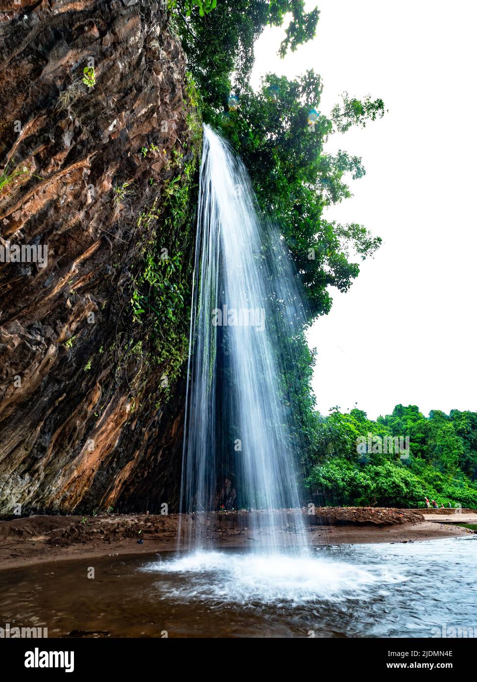 Rainforest of Mayotte lagoon Stock Photo - Alamy