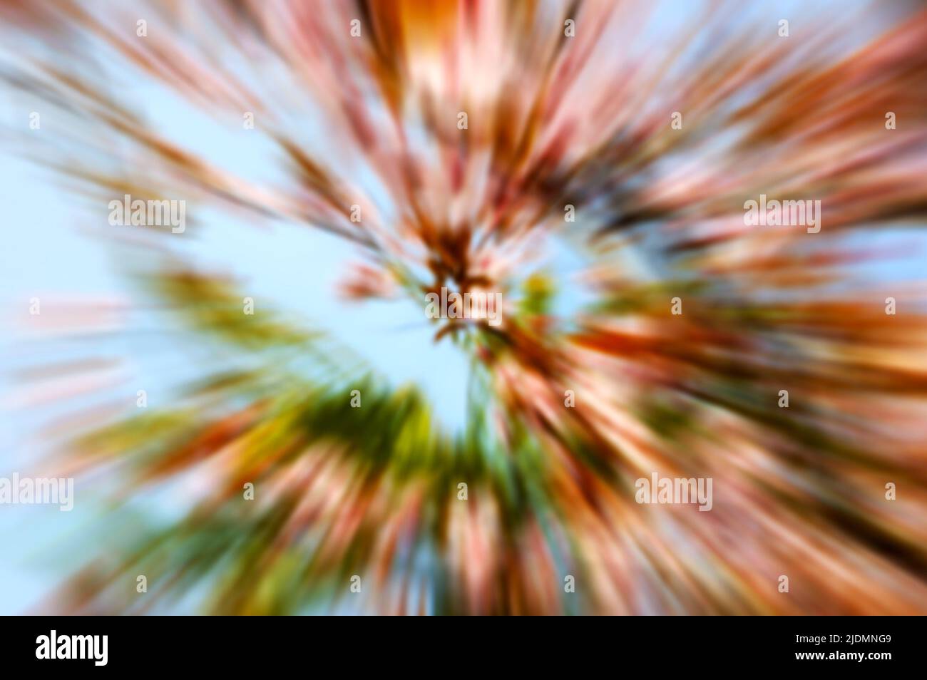 Cherry blossom. Blurry motion defocused background Stock Photo - Alamy