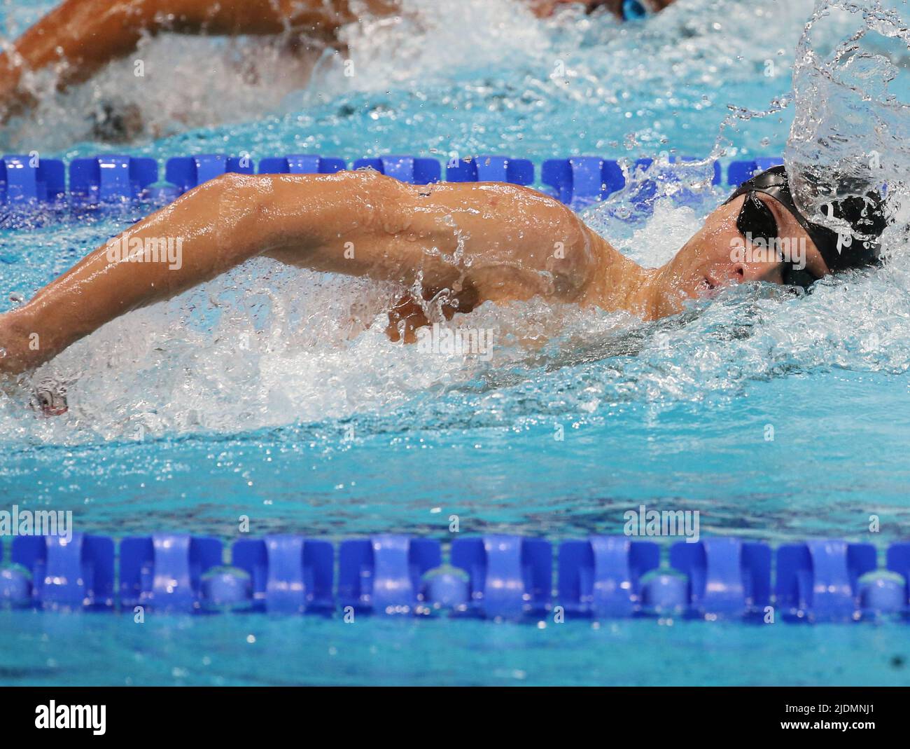 Finke bobby usa hi-res stock photography and images - Alamy