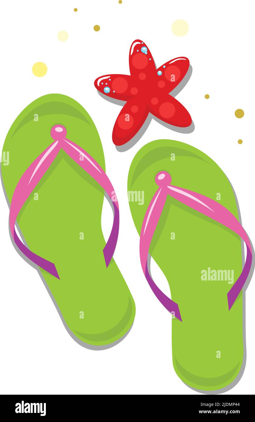Flip flops and starfish. Summer vector on transparent background Stock ...