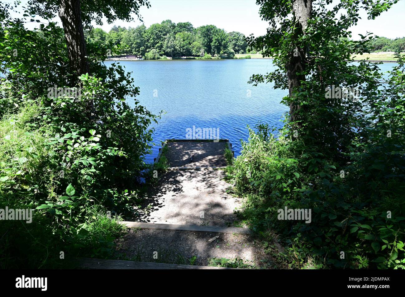Tilgate park in West Sussex in Summertime Stock Photo - Alamy
