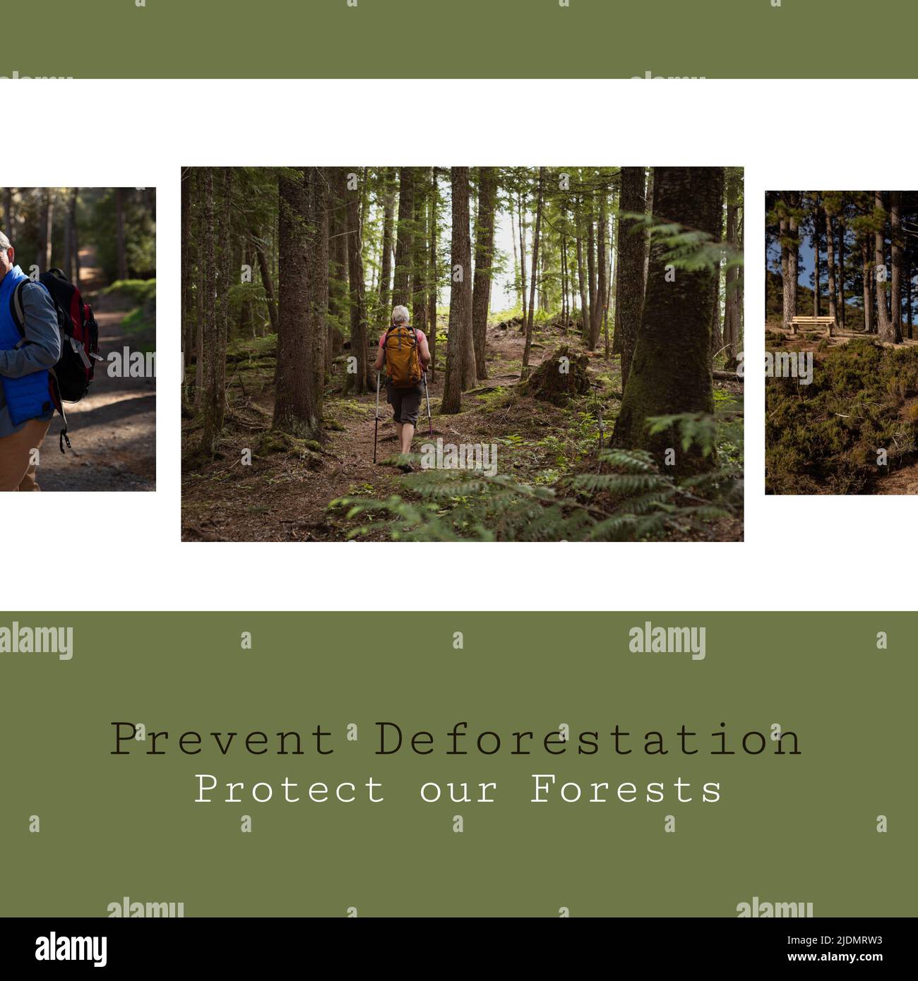 Collage of caucasian explorers hiking in woodland and prevent ...