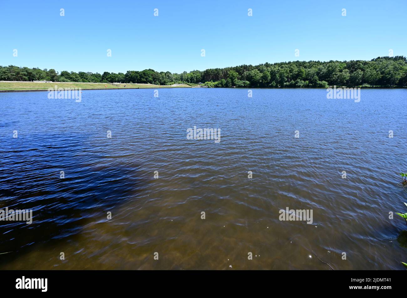Tilgate park in West Sussex in Summertime Stock Photo - Alamy