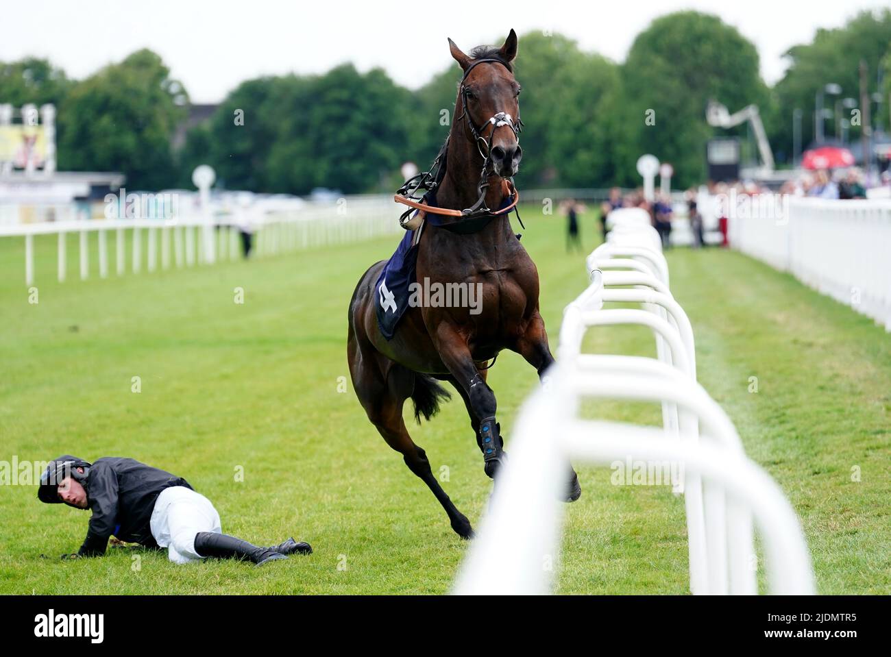 Paudie unseats Thomas Doggrell on the way to post before the At The ...