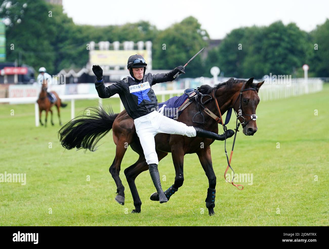 Hurdle worcester racecourse hi-res stock photography and images - Alamy