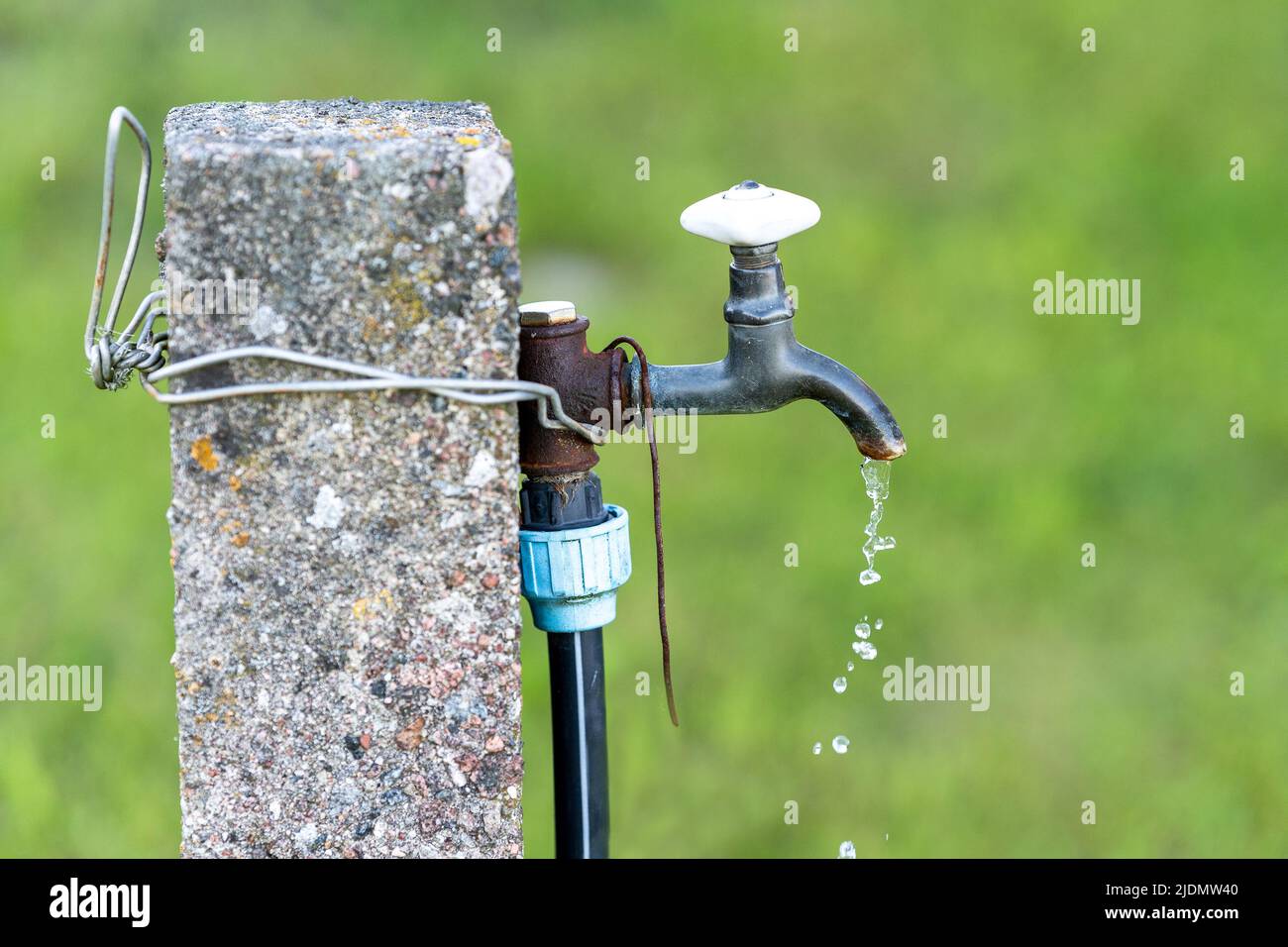 A old rusty water tap in garden from which continuously running the ...