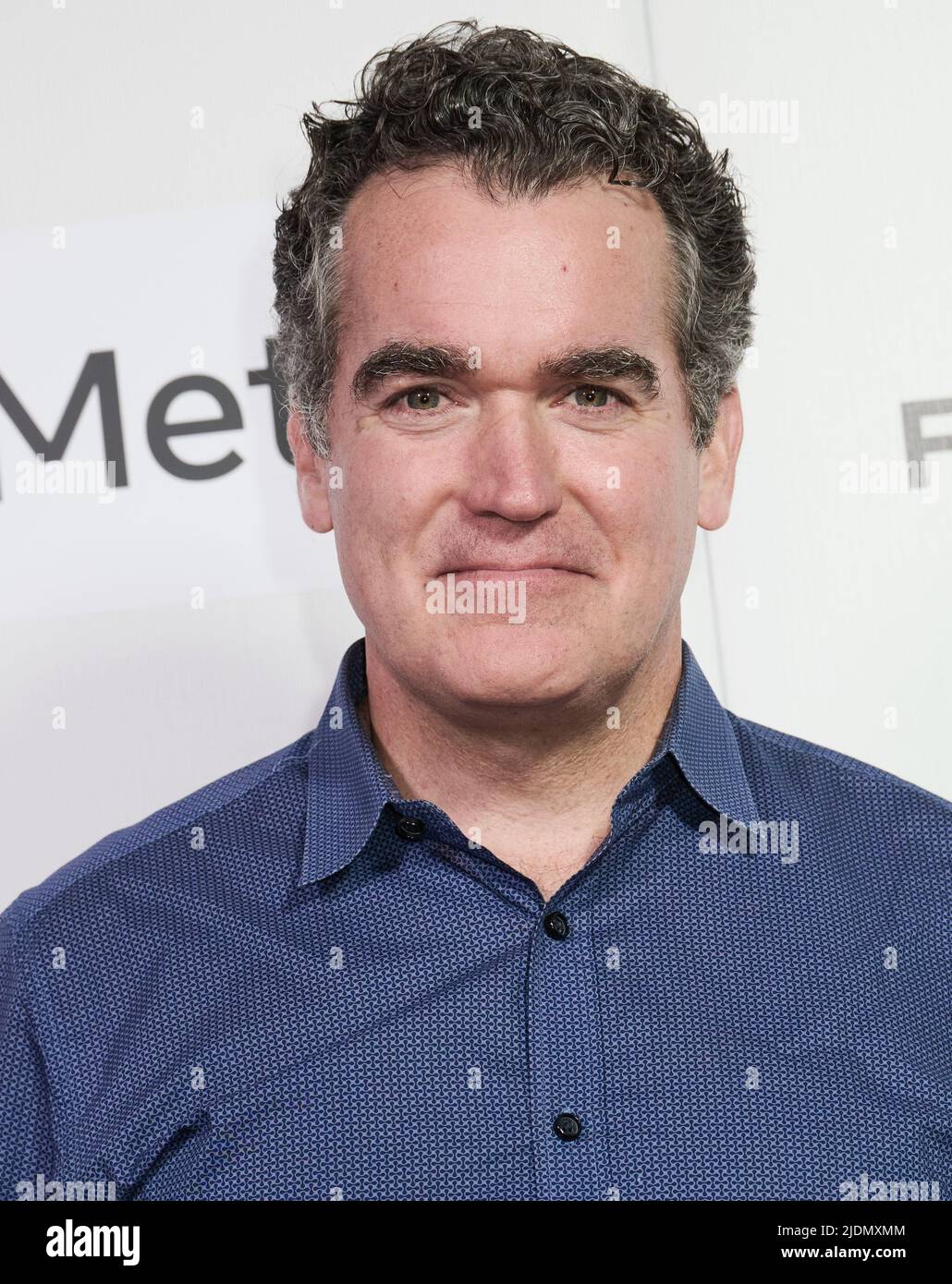 NEW YORK, NY, USA - JUNE 11, 2022: Brian d'Arcy James attends the ...