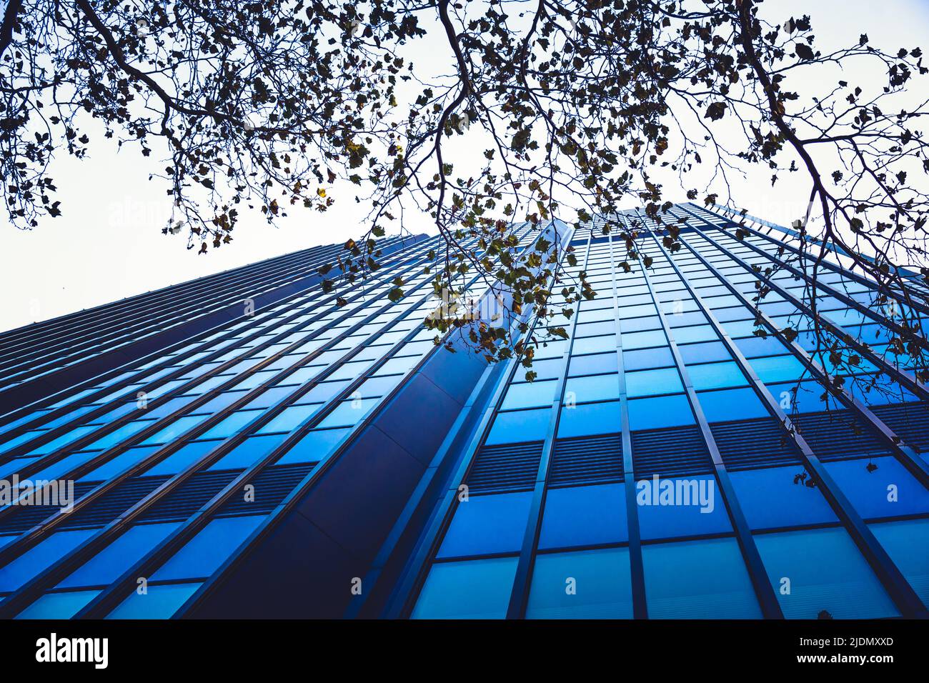 Modern business skyscrapers, high-rise buildings Stock Photo - Alamy