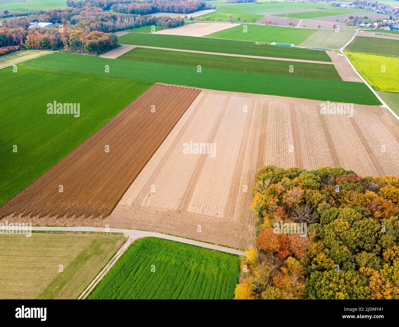 Aerial view of a pastures and arable land. Panorama over healthy green ...