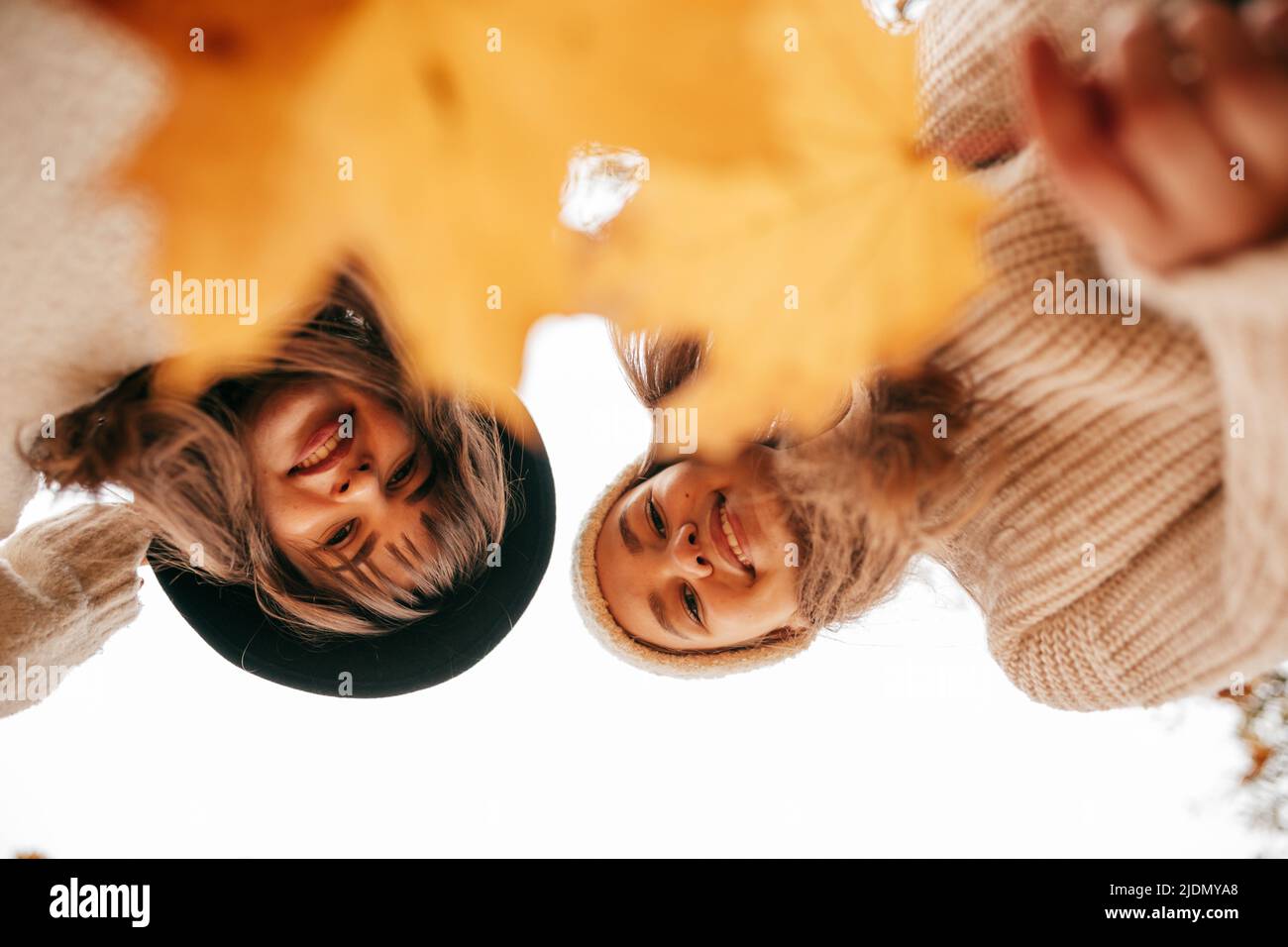 Two charming young women dressed in knitted sweaters are photographed ...