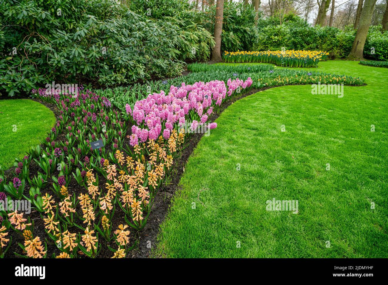 Colorful garden landscape and grassy lawn Stock Photo - Alamy