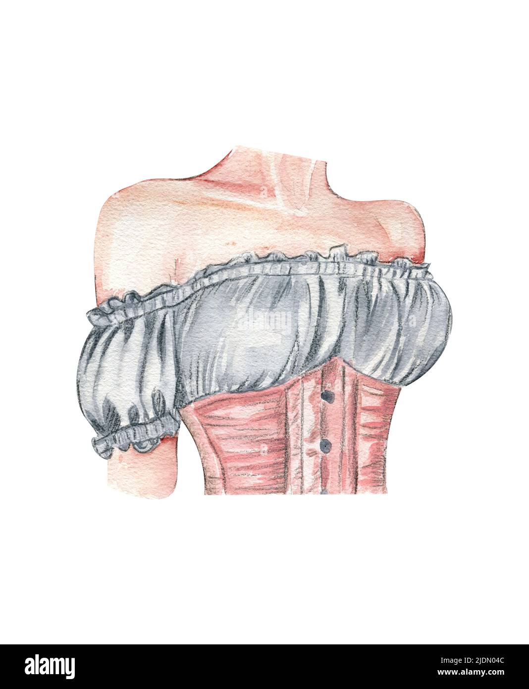 Corset line drawing hi-res stock photography and images - Alamy