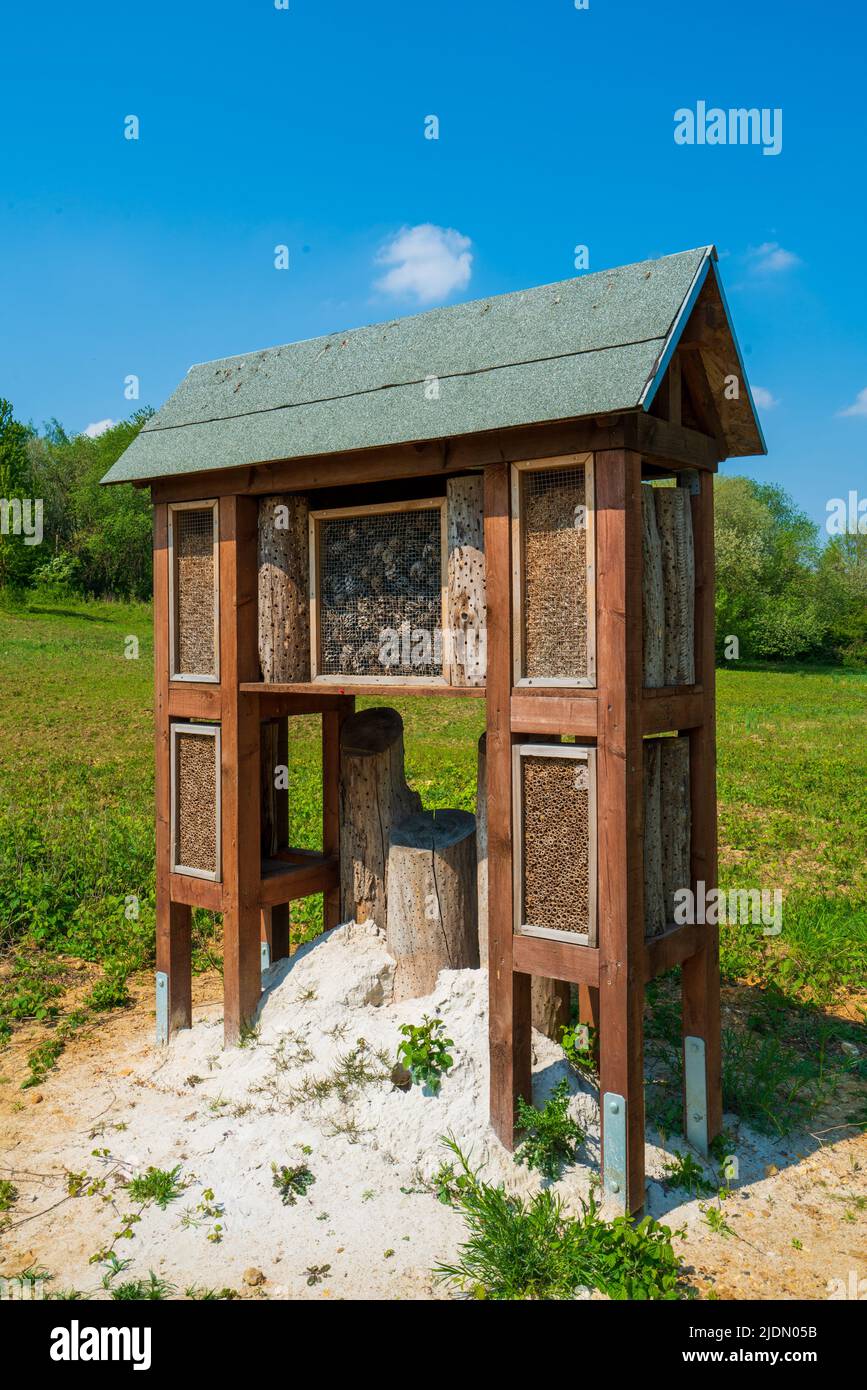 Insect hotel in a green hedge gives protection. Wooden insect house ...