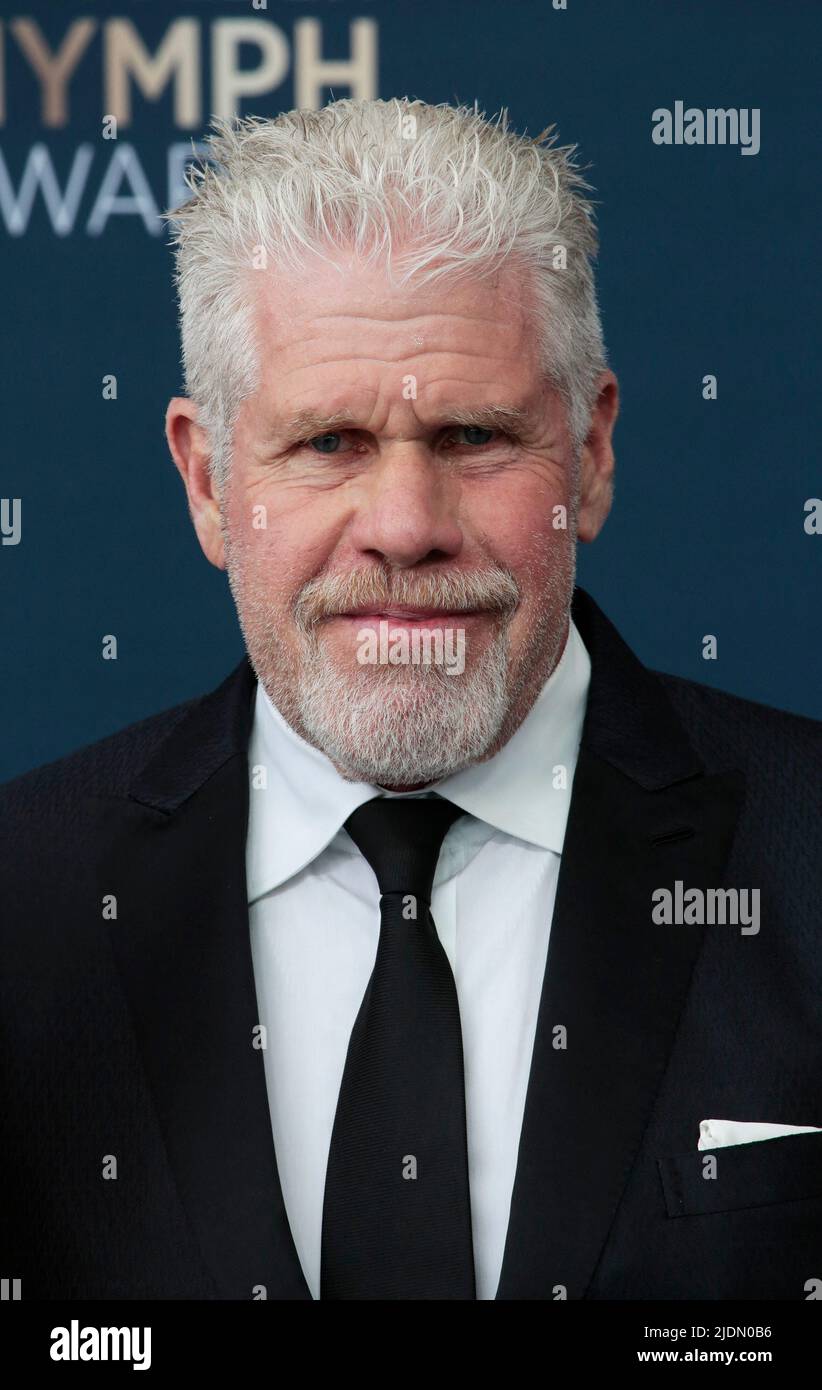 US actor and producer, former jury president Ron Perlman attend the ...