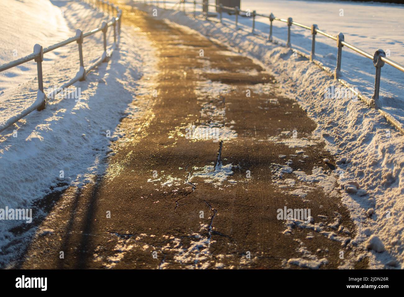 Road in winter in park. Snow-cleared asphalt. Park path Stock Photo - Alamy