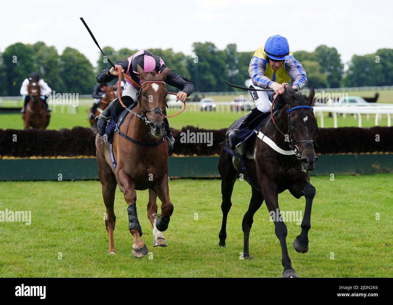 Royal worcester horse racing hi-res stock photography and images - Alamy