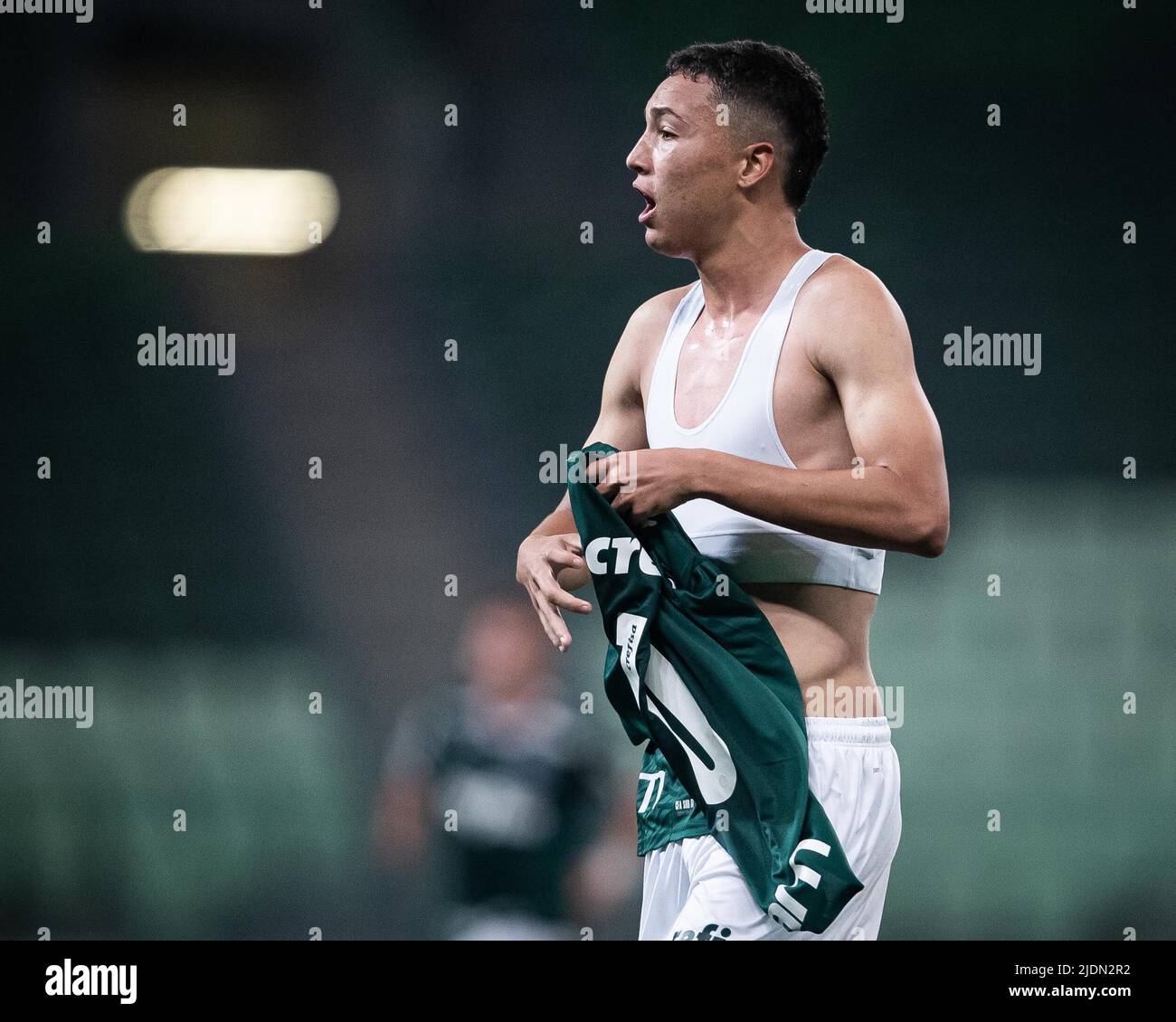 Thalys palmeiras hi-res stock photography and images - Alamy