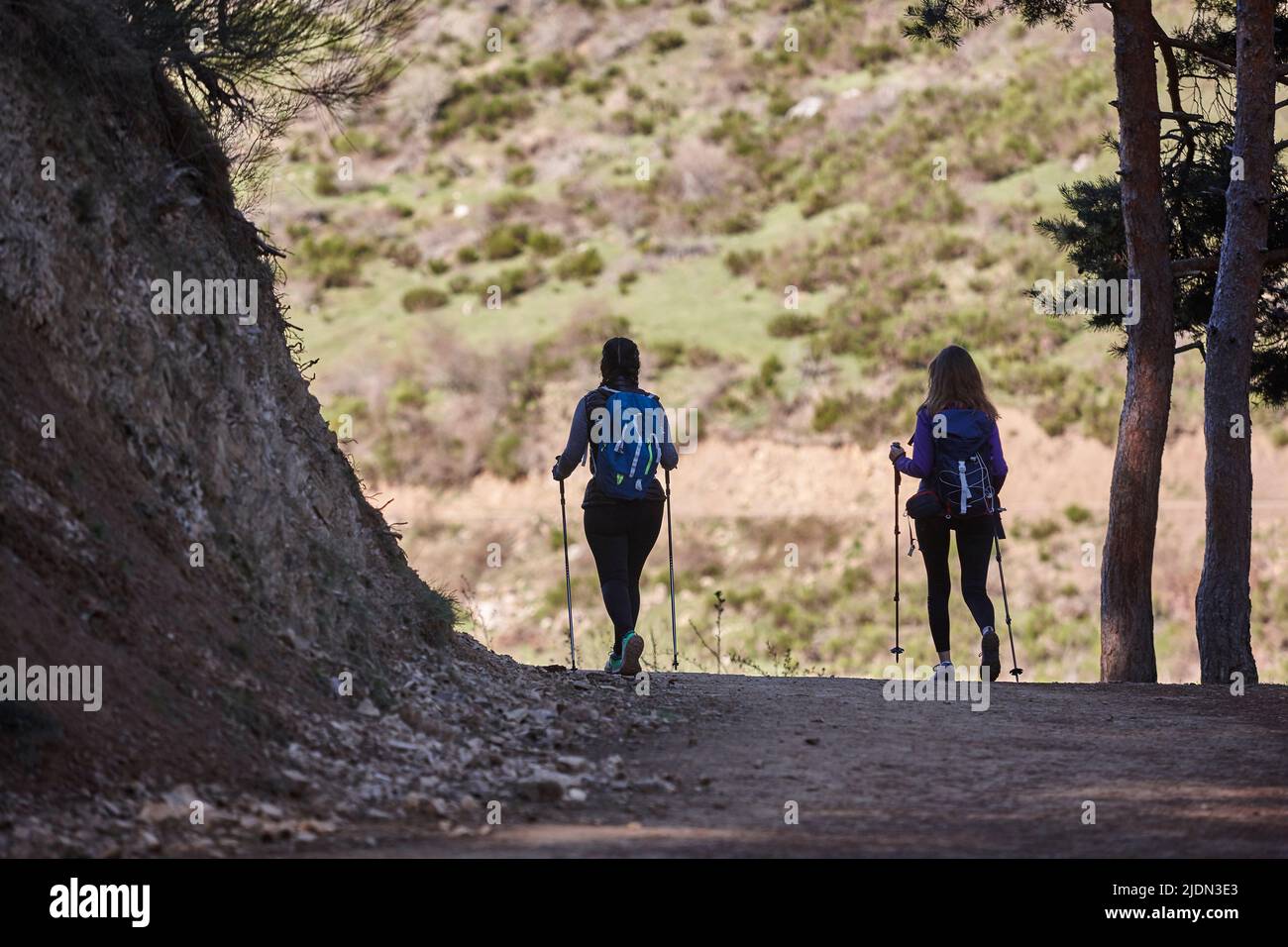 Hikers in the wood backlight. Healthy lifestyle. Trekking Stock Photo ...