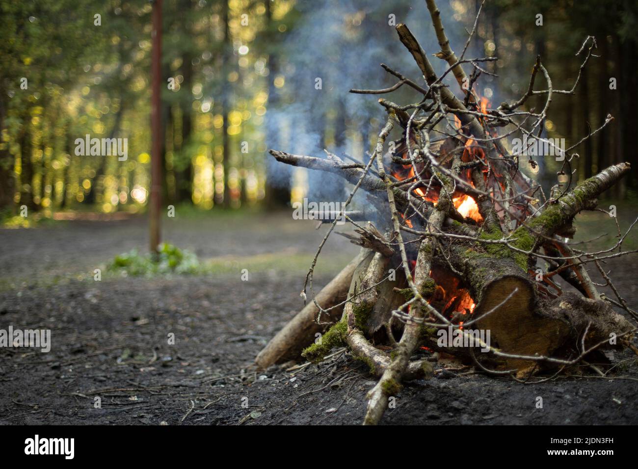 Bonfire in woods. Dry branches are burning. Camping details. Burning ...
