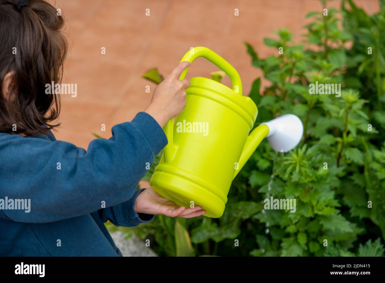 little girl with watering can pouring water to flowers at garden Stock ...