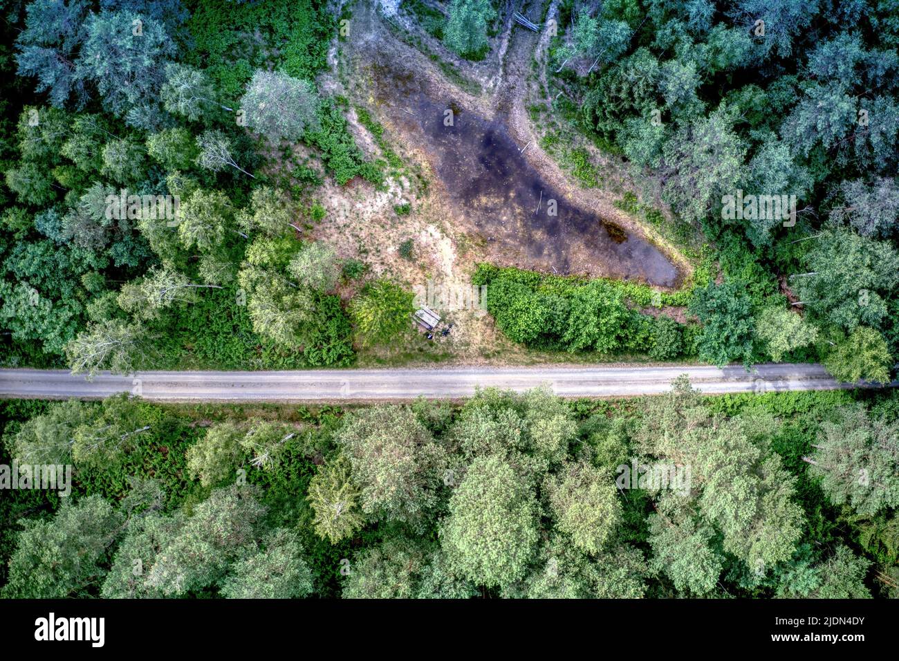 Abstract aerial view of forest path between trees next to pond Stock ...