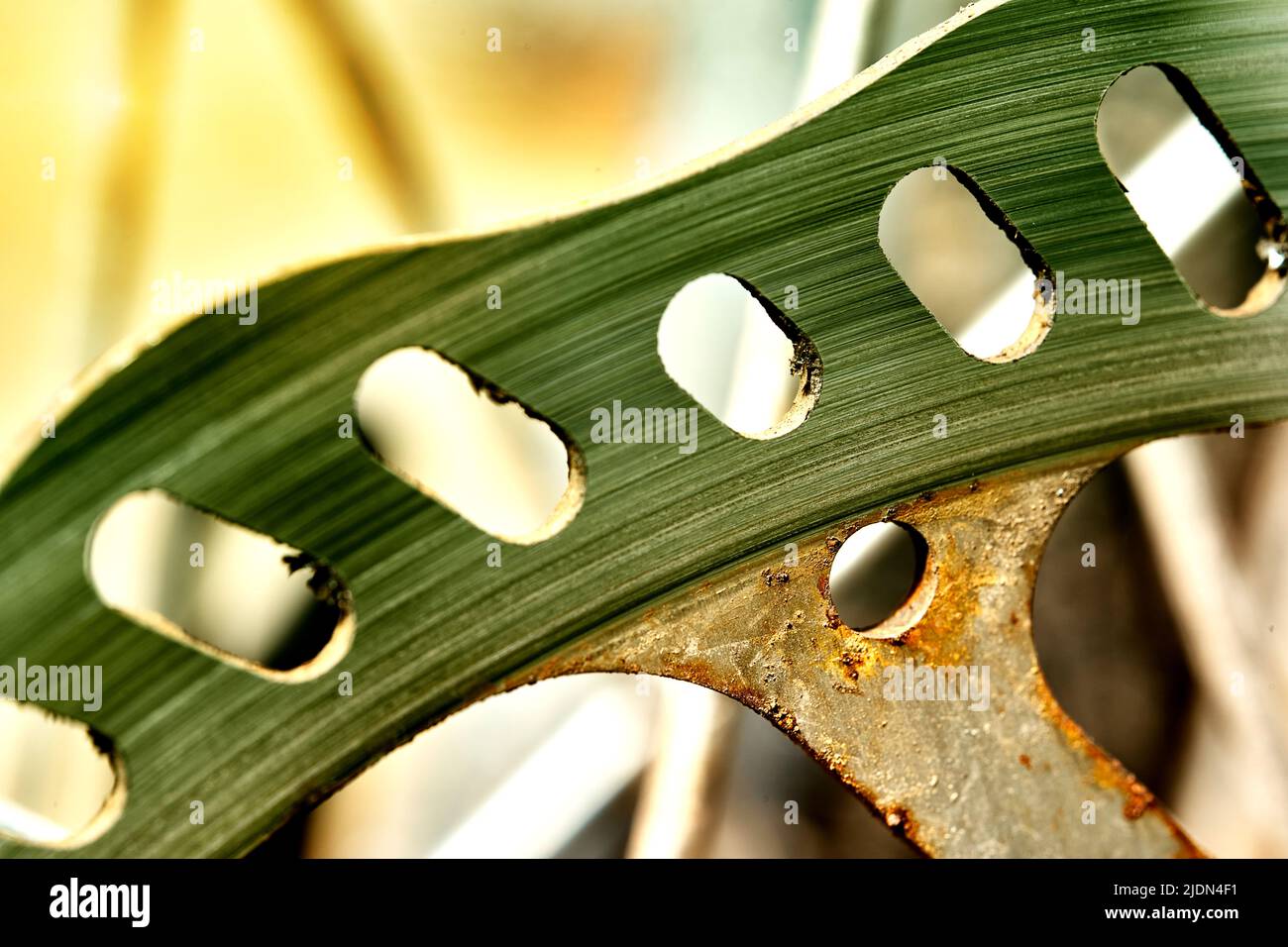 Close up of bicycle with brake disc hi-res stock photography and images ...