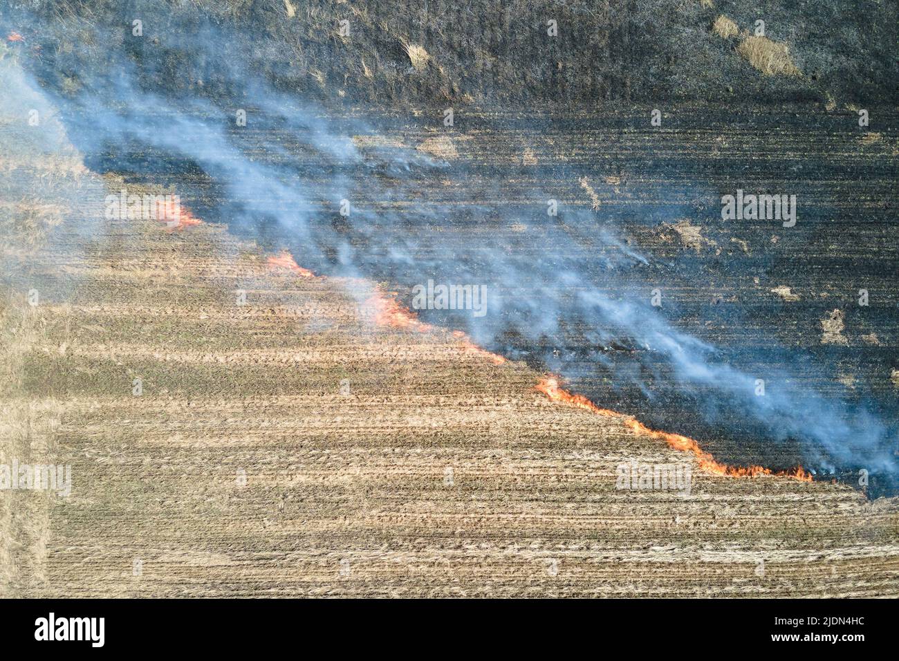 Aerial view of grassland field burning with red fire during dry season ...