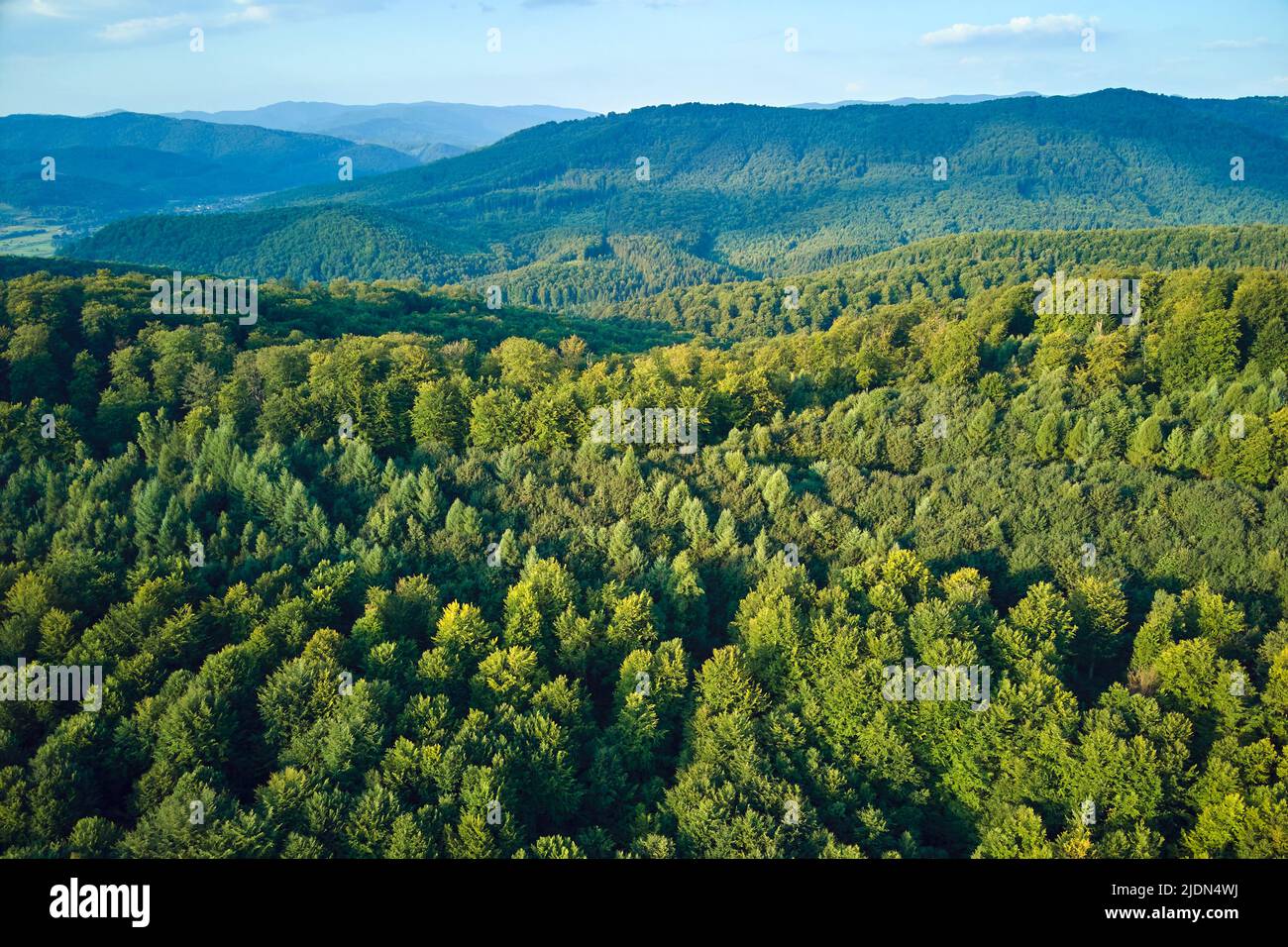 Aerial view of mountain hills covered with dense green lush woods on ...