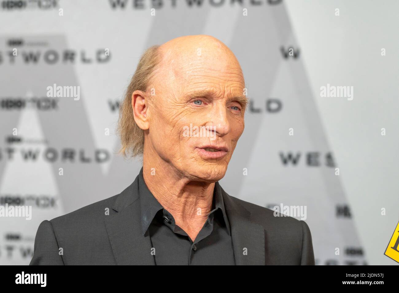 New York, United States. 21st June, 2022. Ed Harris attends HBO's ...