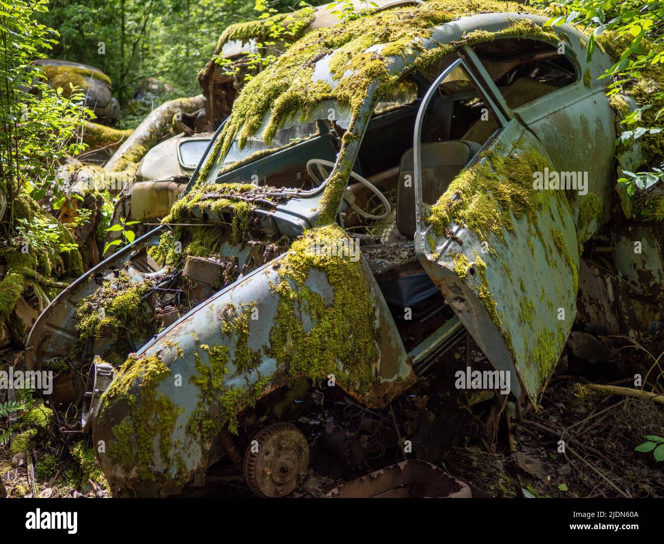 Car wrecks, old cars in Ivan´s Junkyard cementery in Båstnäs, southern ...