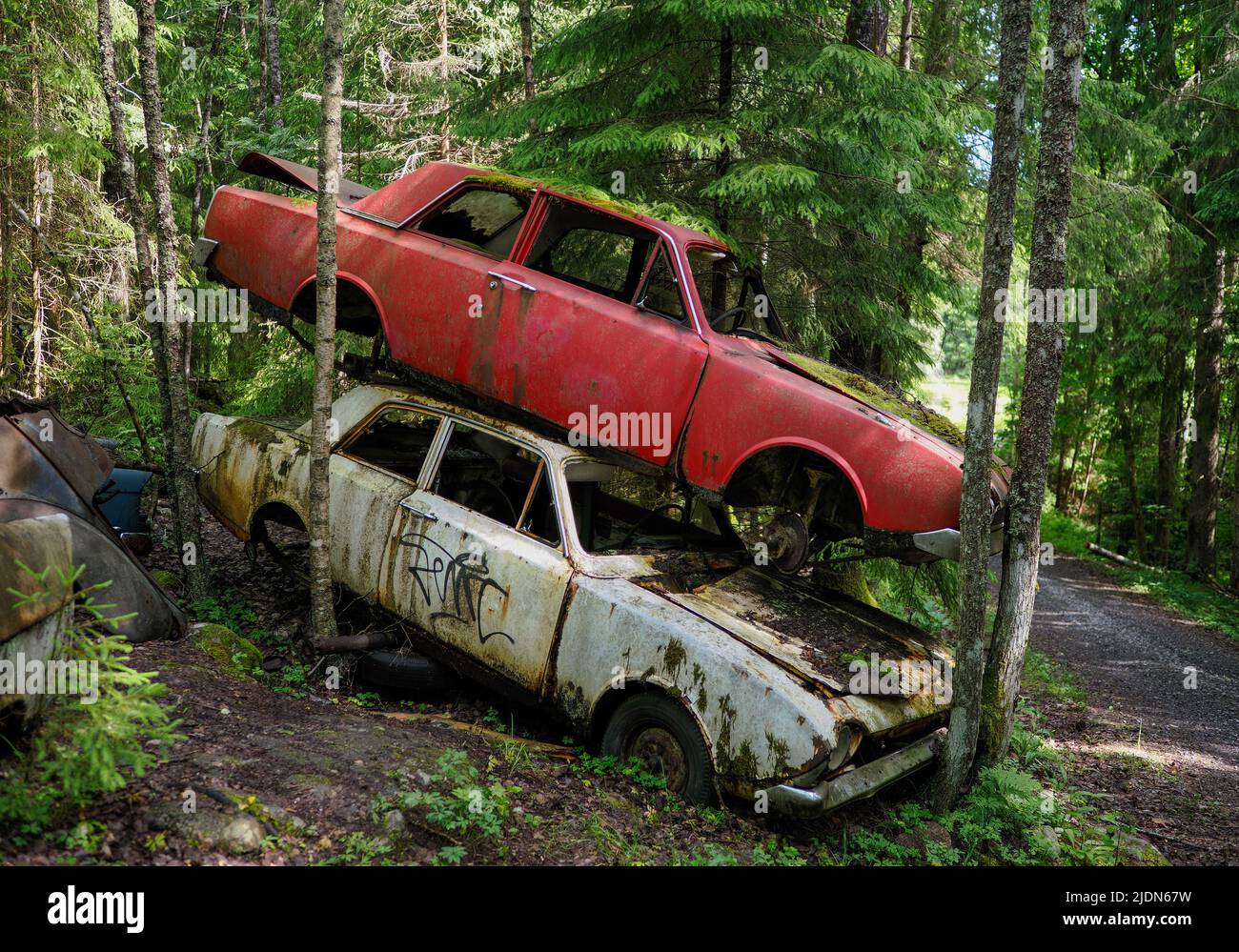 Car wrecks, old cars in Ivan´s Junkyard cementery in Båstnäs, southern ...