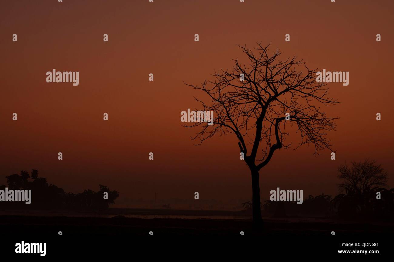 Beauty of Nature Stock Photo - Alamy