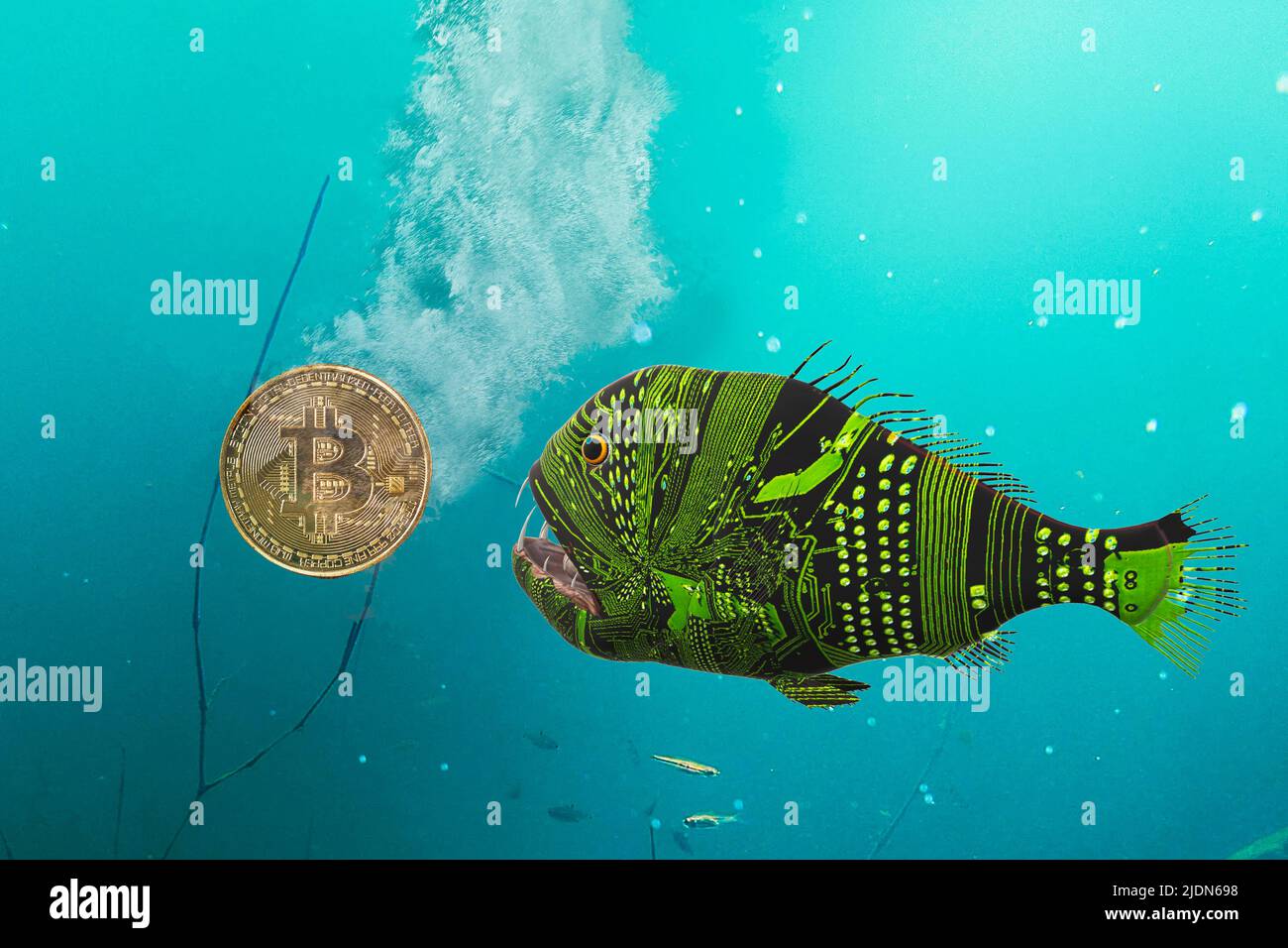 Blue ocean strategy hi-res stock photography and images - Alamy