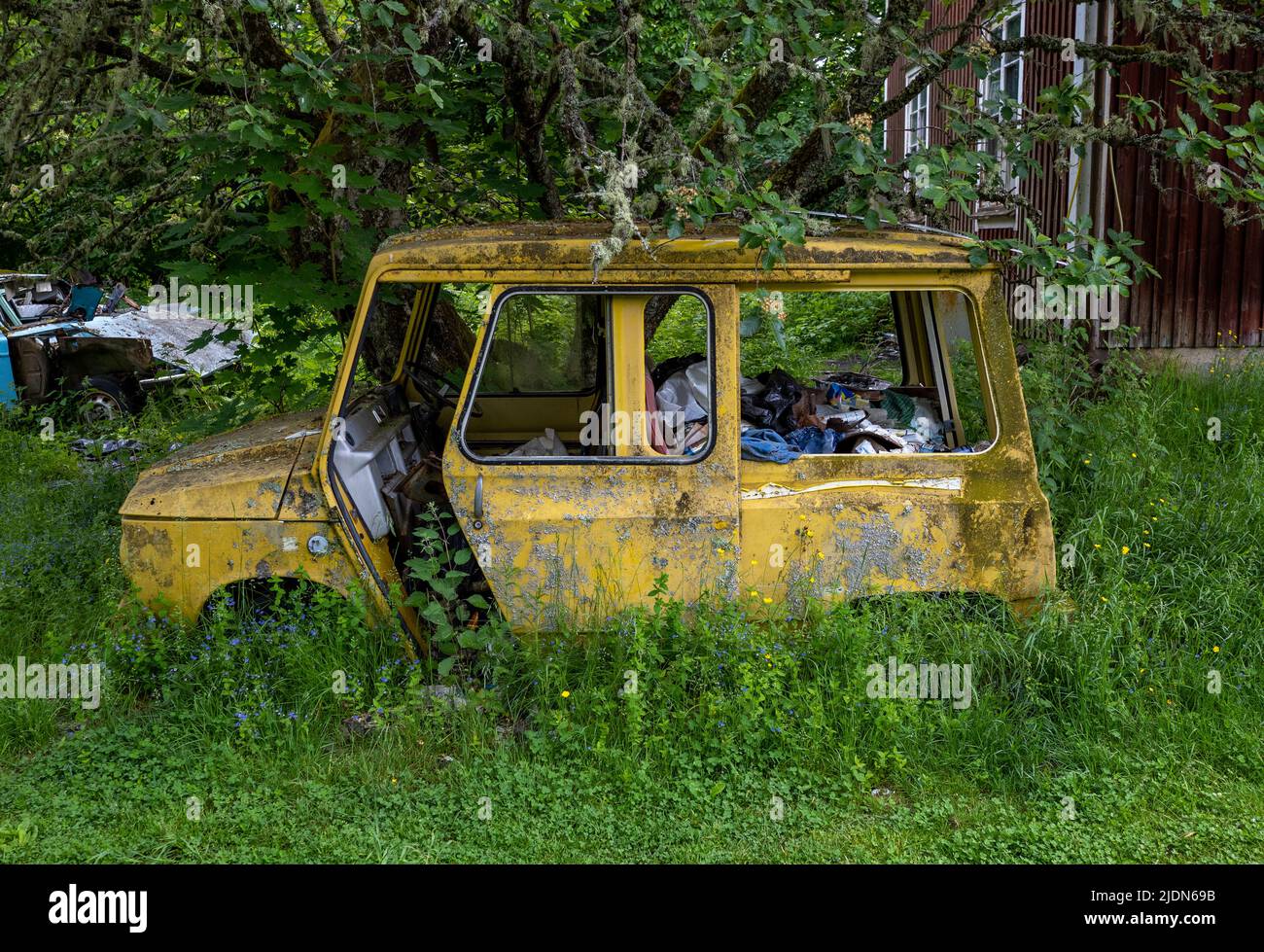 Car wrecks, old cars in Ivan´s Junkyard cementery in Båstnäs, southern ...