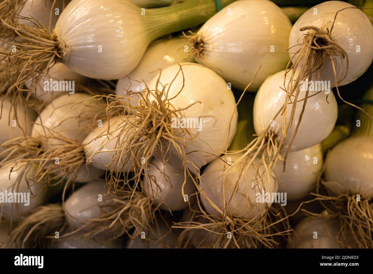 Bunch of freshly harvested onions. Fresh garden food. Selective focus ...