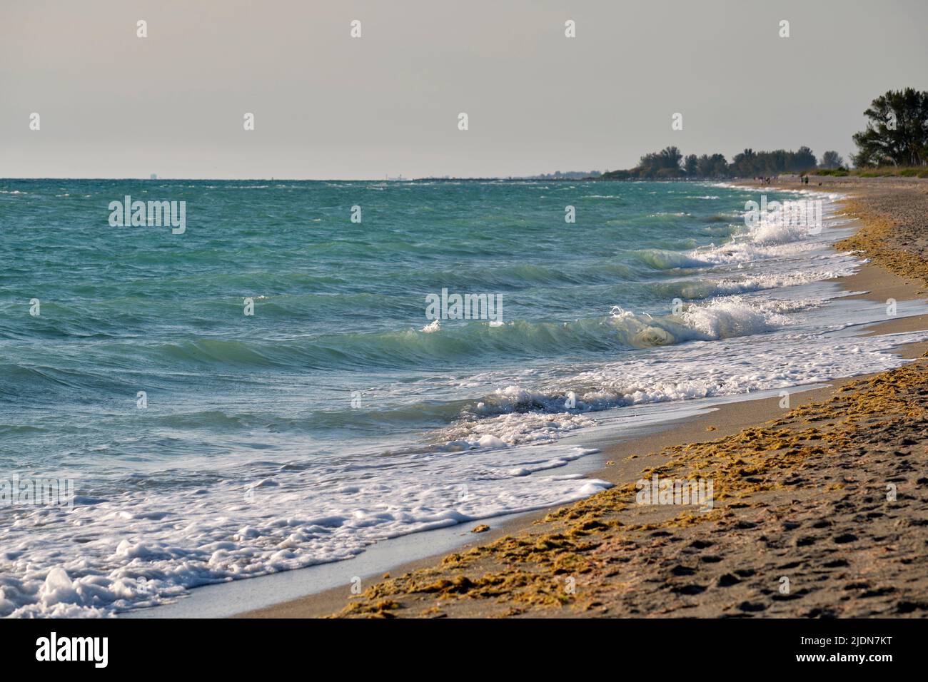Seaside sand beach with foamy waves crushing on shore Stock Photo - Alamy