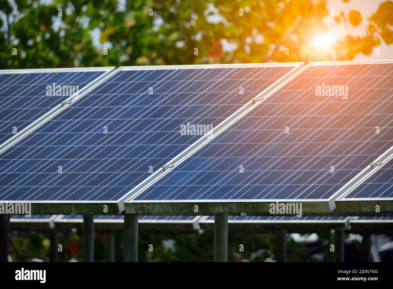Solar photovoltaic panels mounted on stand-alone frame on backyard ...
