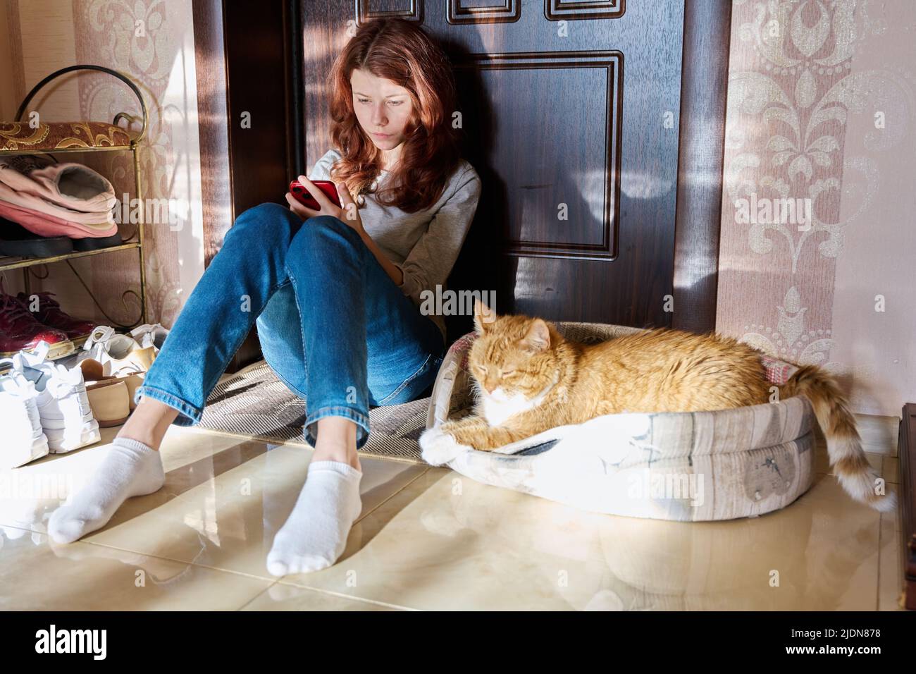 Preteen girl sitting on floor at home using smartphone, with sleeping ...