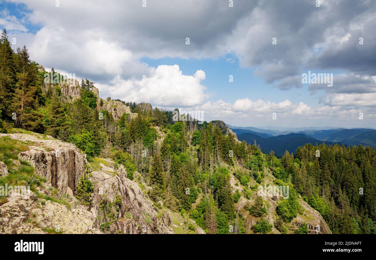 High rocky wild mountain range of Rhodope Mountains covered with green ...